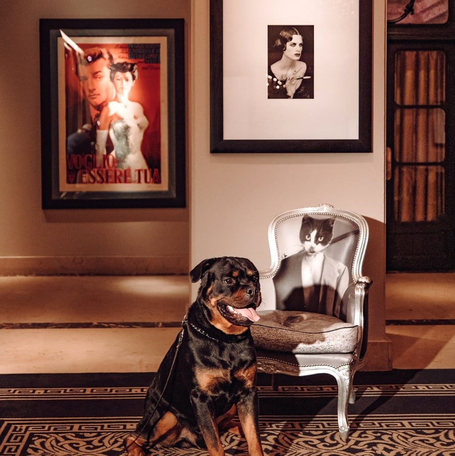 Amenities | Houston Museum District - Hotel ZaZa